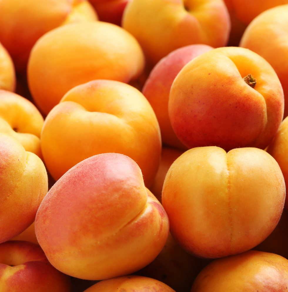 Apricot - Encore Fruit
