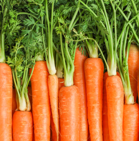 The Goods - Encore Fruit